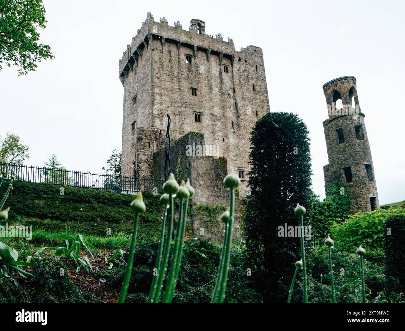 Manicured paths hi-res stock photography and images - Alamy