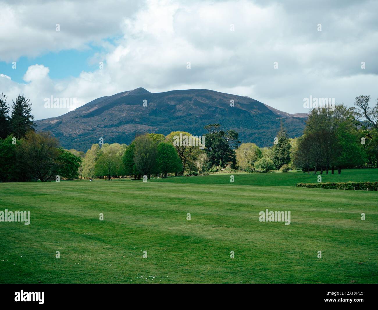 Verdant field stretches hi-res stock photography and images - Alamy