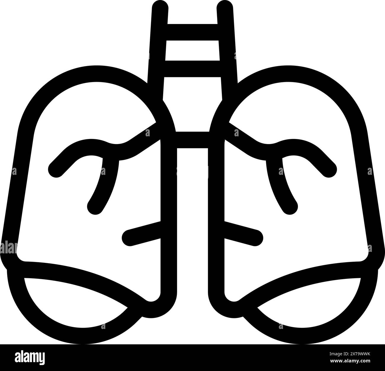 Simple line drawing of lungs separated by a ladder, representing the ...