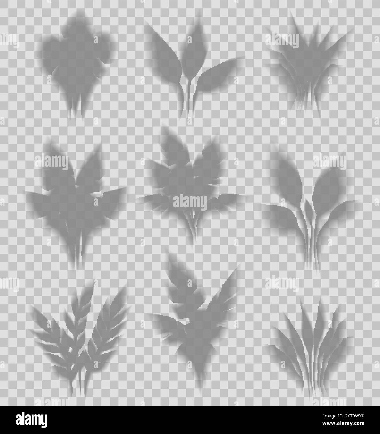 Vector set of transparent shadows of tropical bushes of leaves on ...