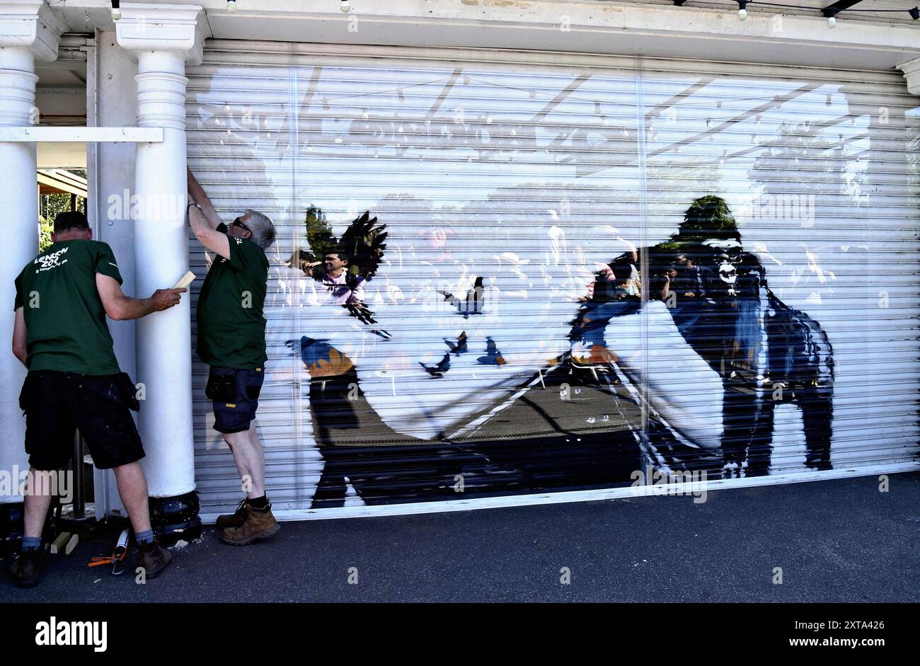 A new artwork by Banksy is covered with transparent materials at London ...