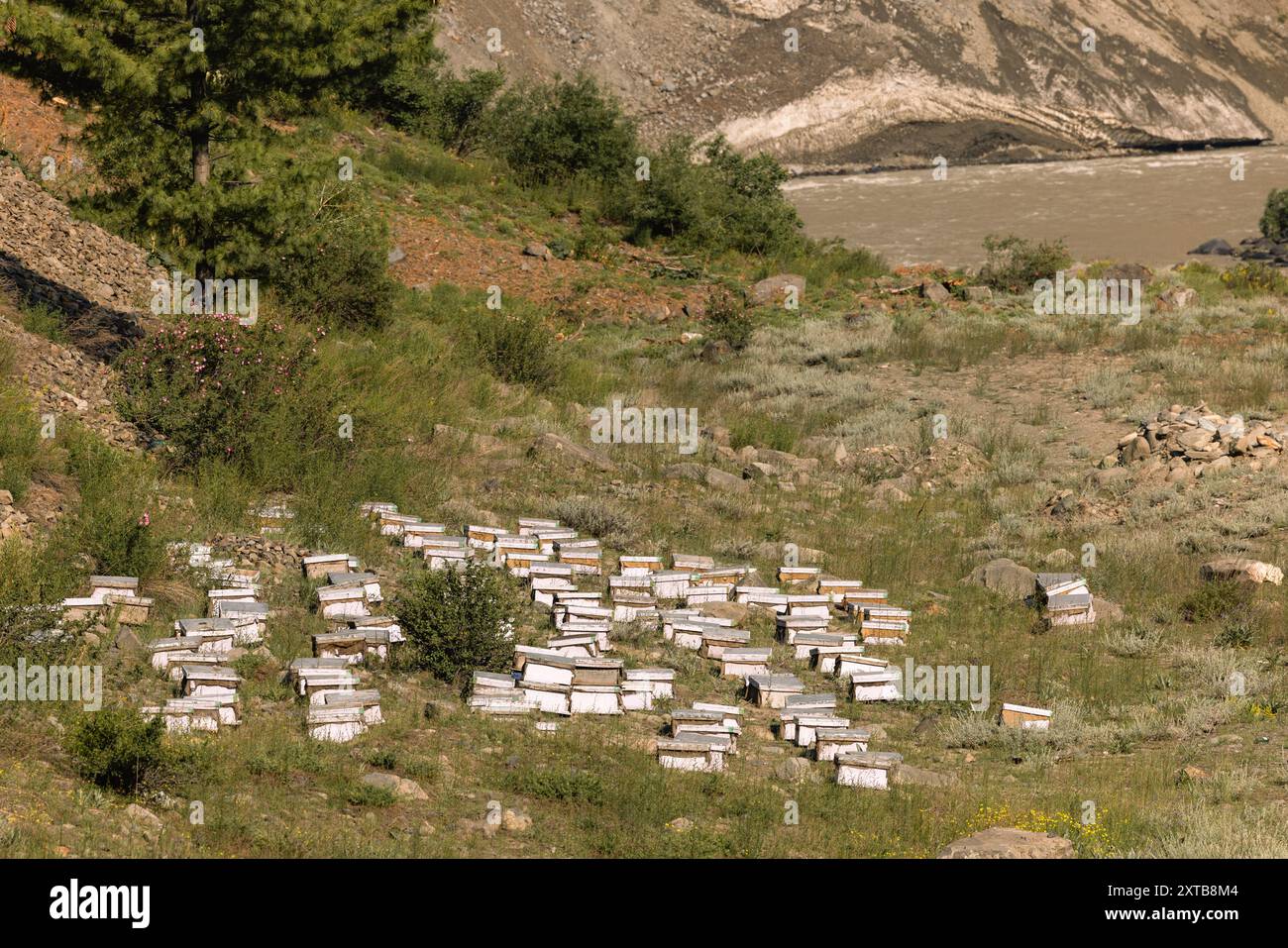 A beekeeping farm in the Himalayan mountains with bee houses for ...