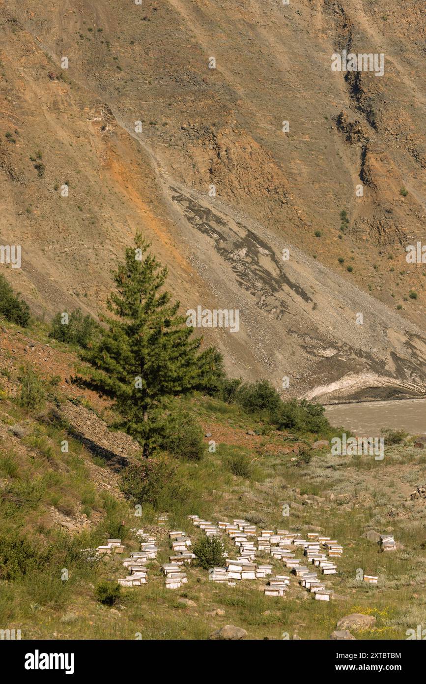A beekeeping farm in the Himalayan mountains with bee houses for ...