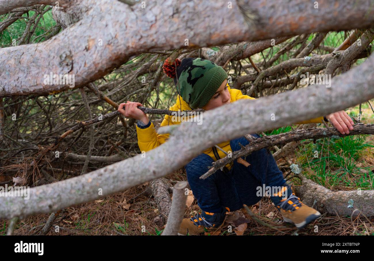 Child playing among the branches of a pine tree in a forest in winter ...