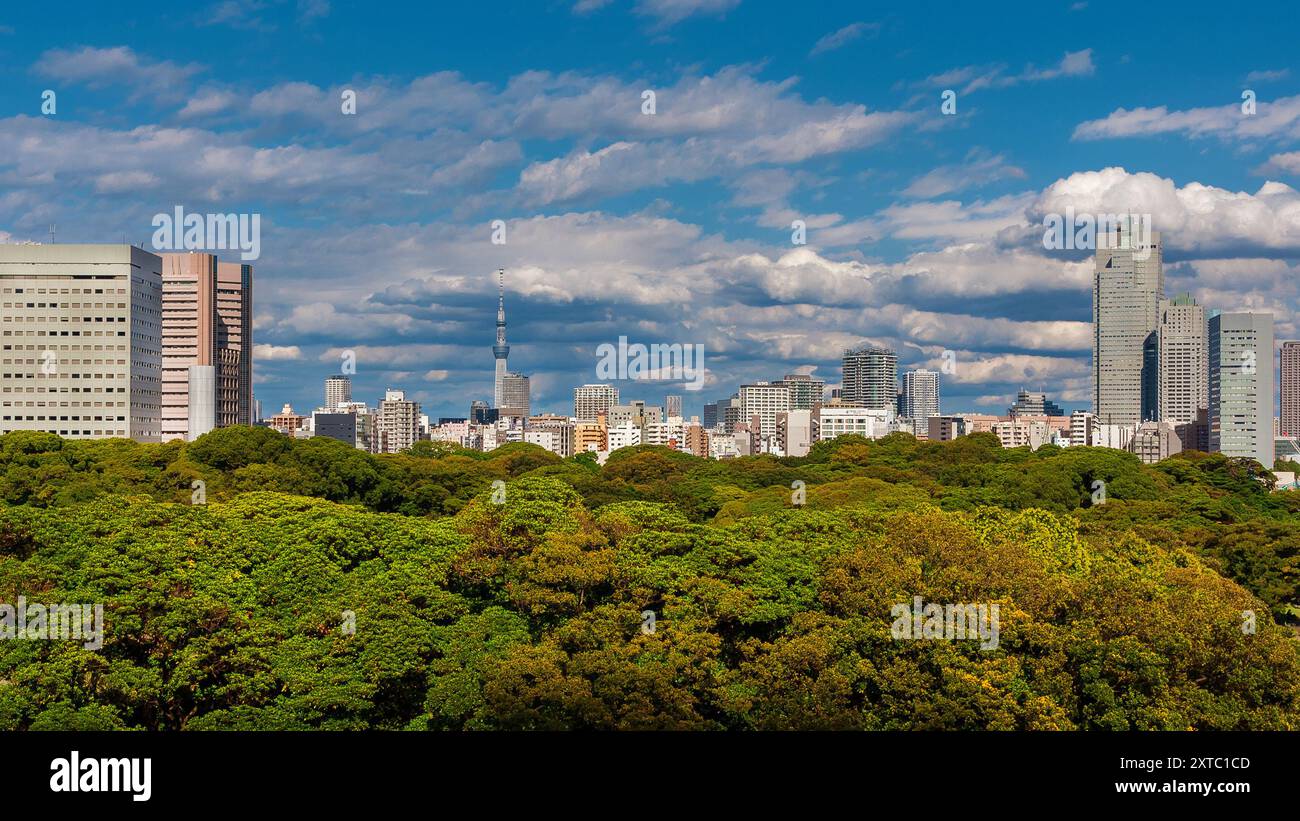 View of Tokyo skyline above Hama-Rikyu Park with Skytree from Water ...