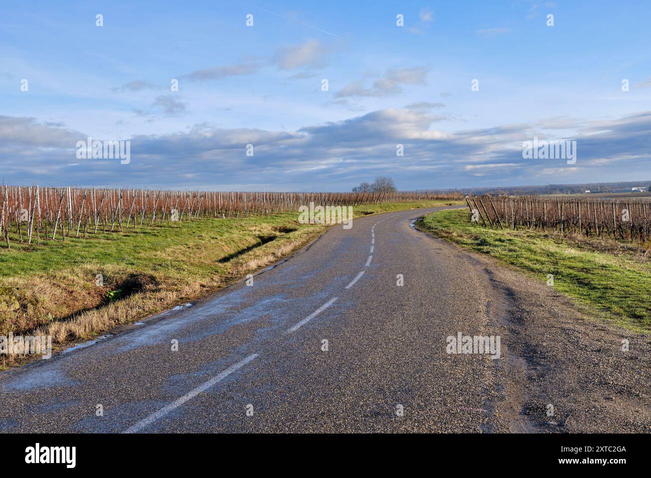 Alsace, December: view of Vineyards at Chateau de Kaysersberg Stock ...