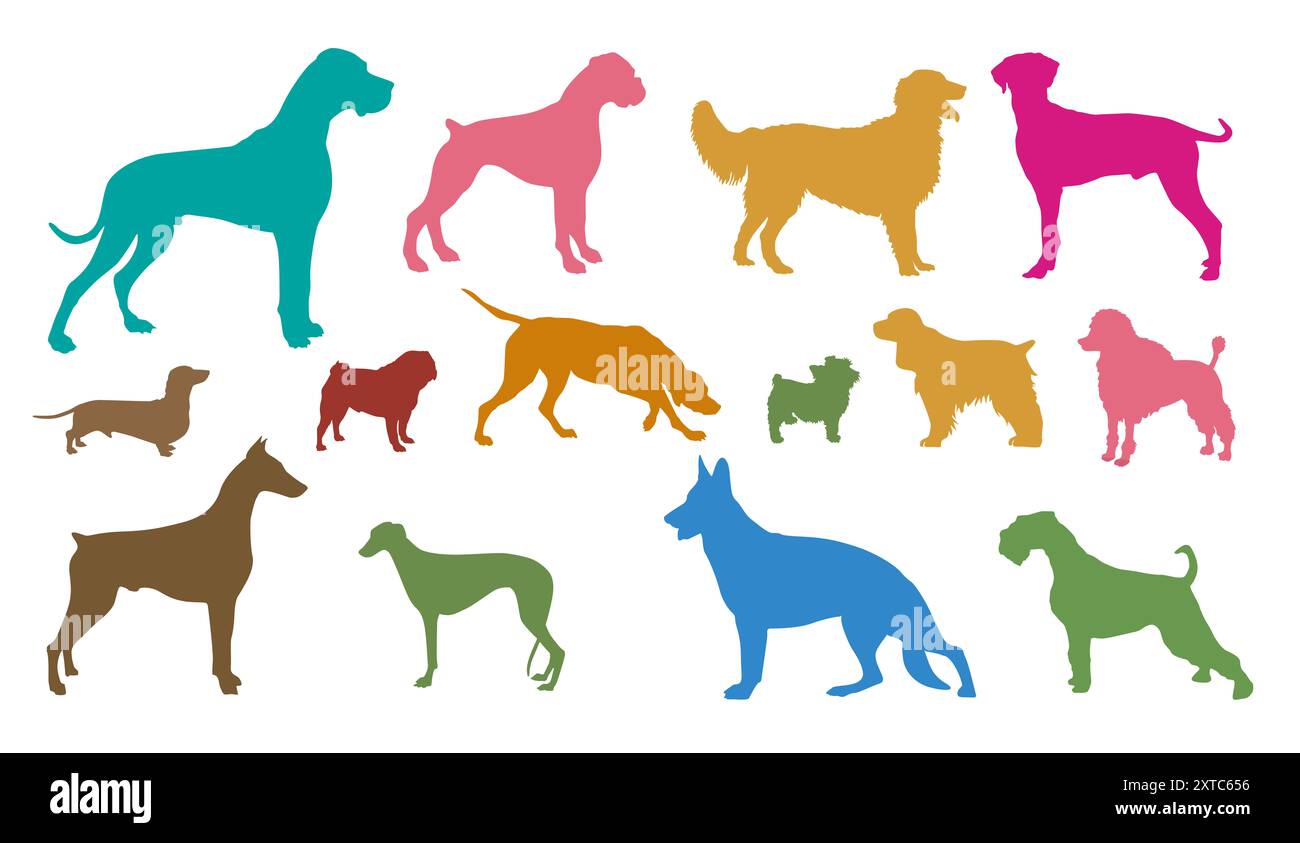 Various dog breeds cutout illustration Stock Photo - Alamy