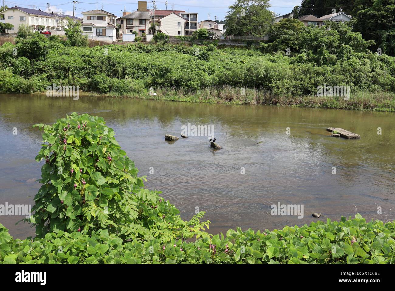 Sendai, Miyagi Prefecture, Japan, August 14, 2024.Scenery around ...