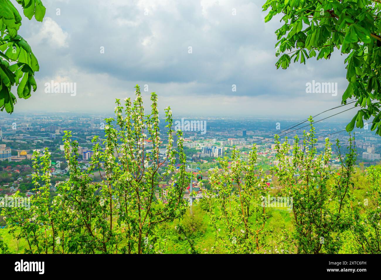 Top view almaty city green hi-res stock photography and images - Alamy