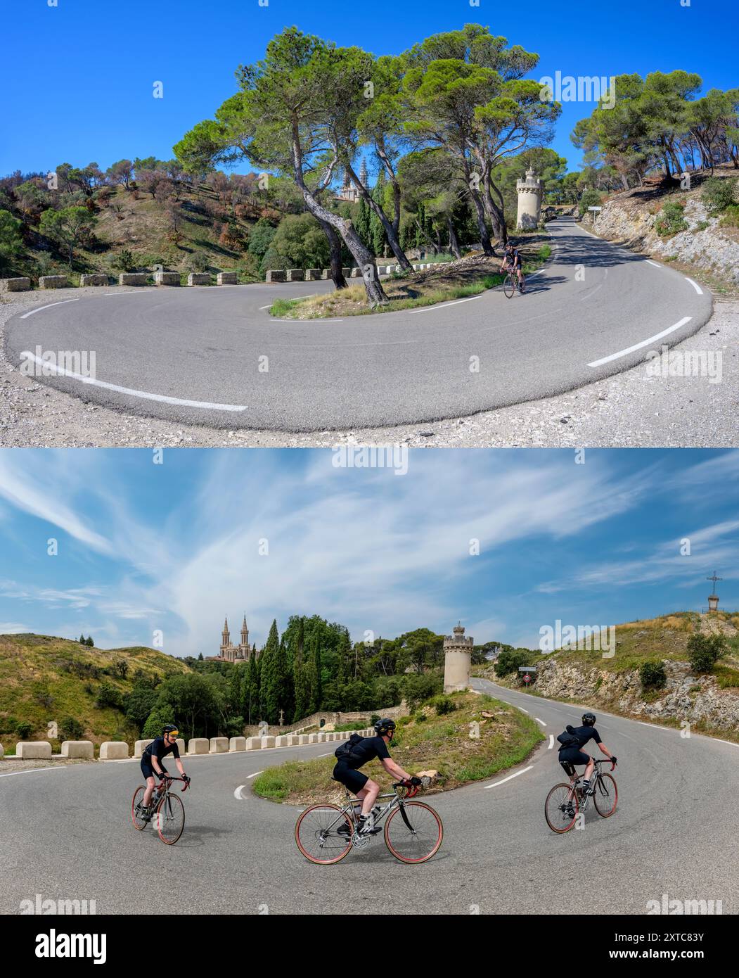 Before (Sept 2022) and after (June 2024) shots of trees removed to ...