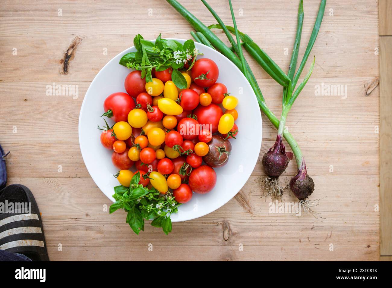 A large plate of home grown tomatoes with different shapes and red ...