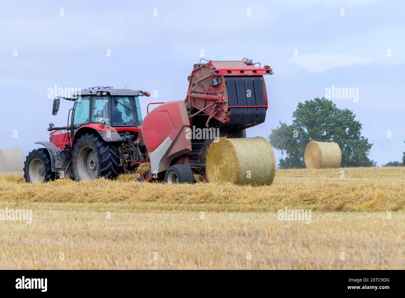 Tractor and round baler producing hay rolls after the barley harvest in ...