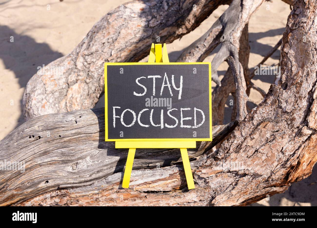 Stay focused symbol. Concept words Stay focused on beautiful black ...