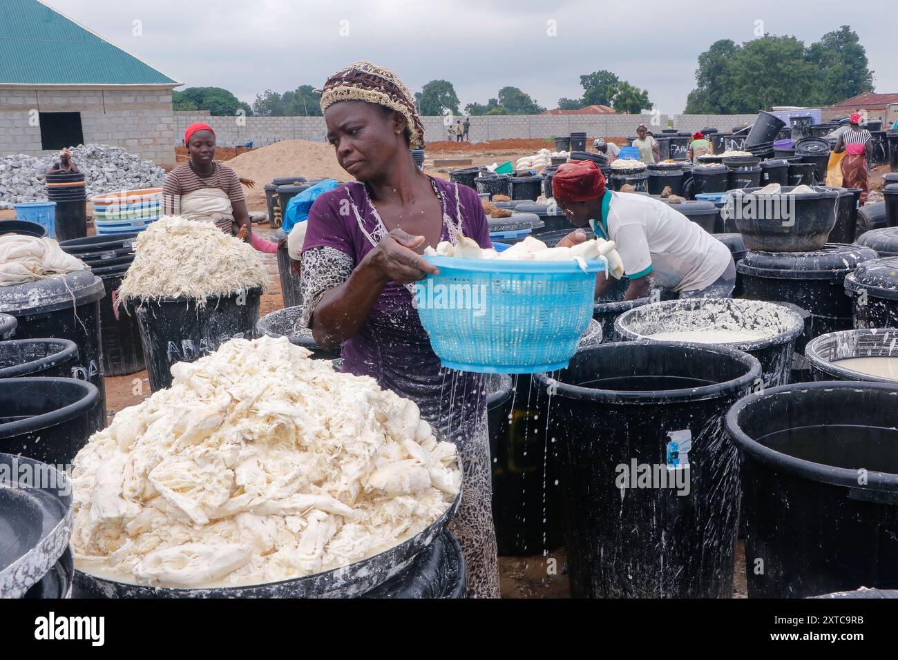 Females in Abuja are struggling and making strides in a local cassava ...