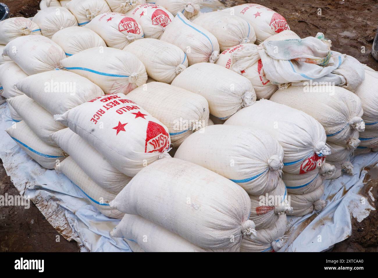 Females in Abuja are struggling and making strides in a local cassava ...