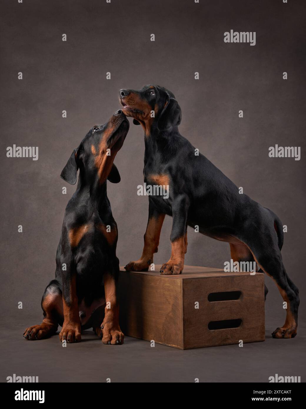 Synchronized postures hi-res stock photography and images - Alamy