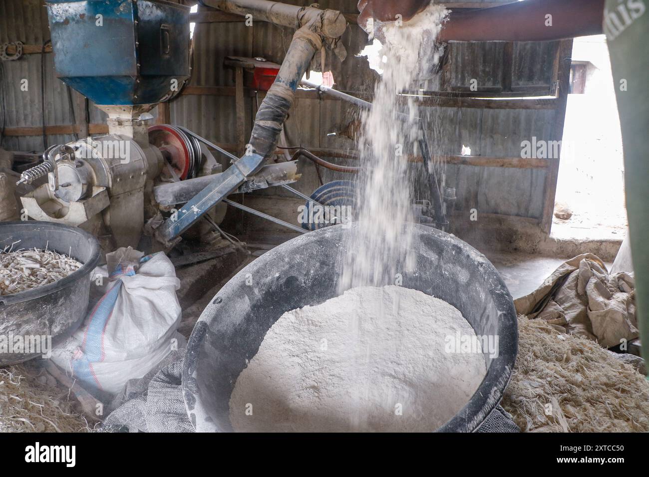 Females in Abuja are struggling and making strides in a local cassava ...