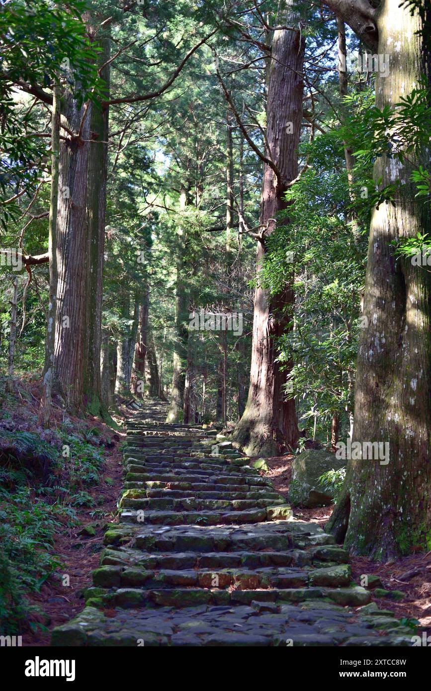 Kumano Kodo Pilgrimage Route, UNESCO World Heritage site in Wakayama ...