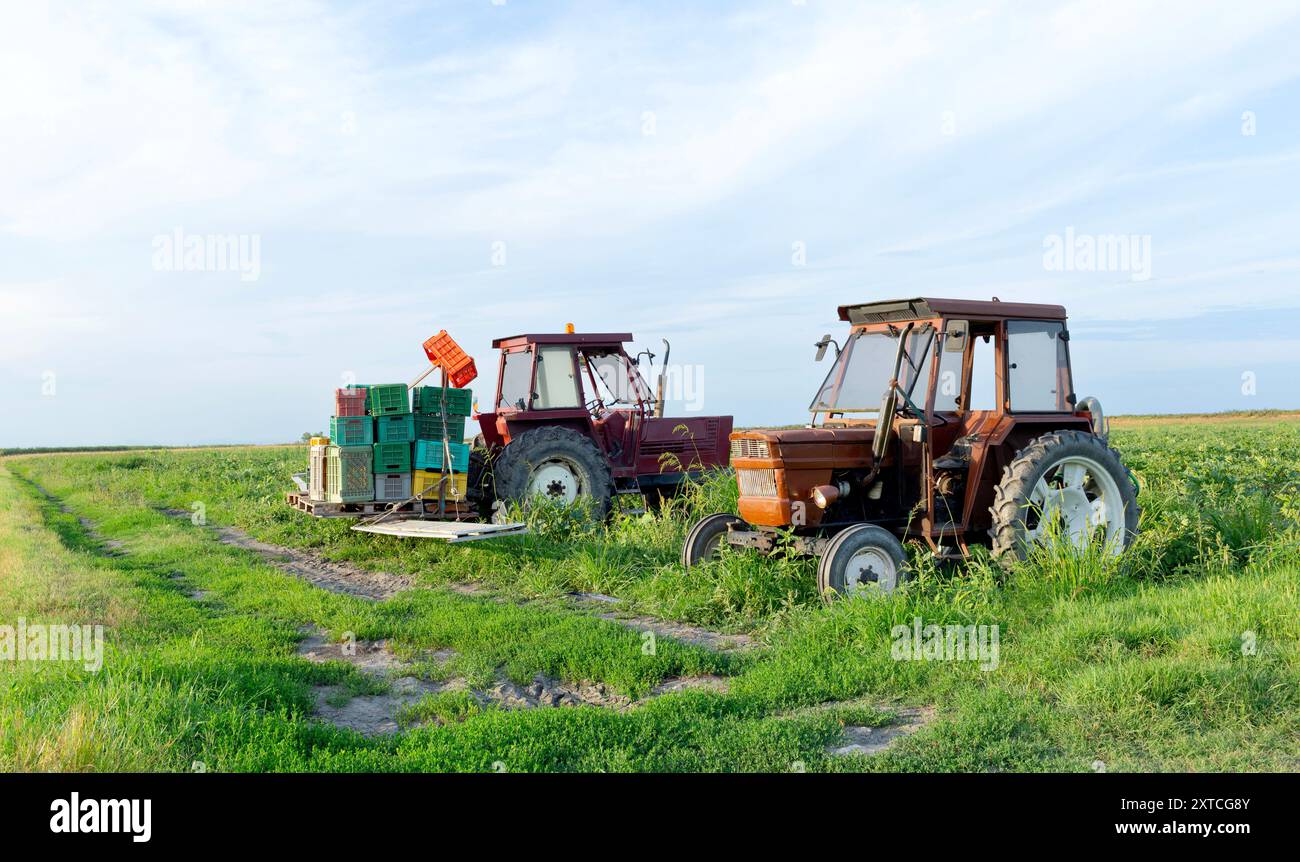 Two old tractors are in a field with many empty boxes for harvesting ...