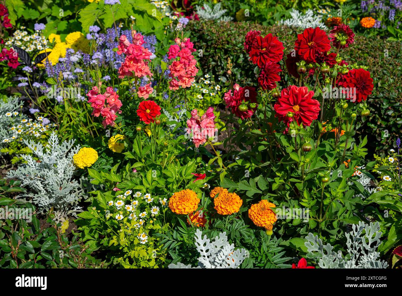 Decorative flowers at hi-res stock photography and images - Alamy