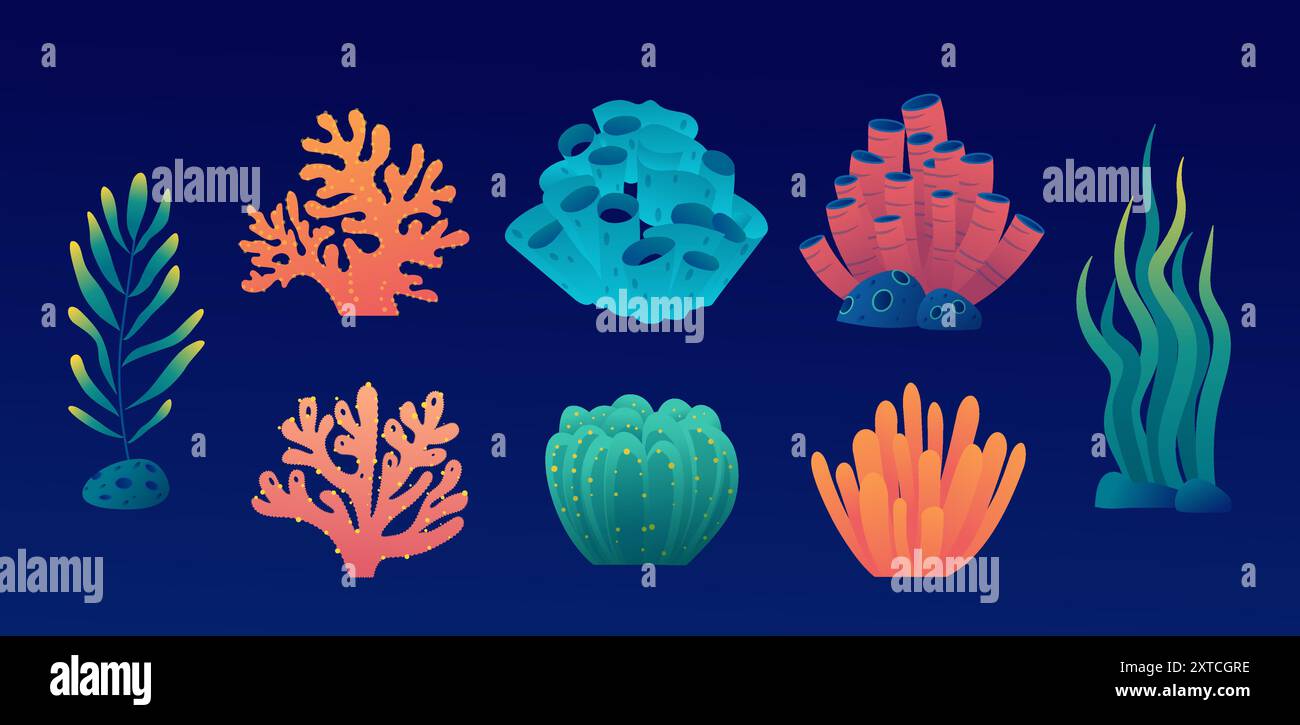 Collection of elements such as coral, coral reefs, sponges, and seaweed ...