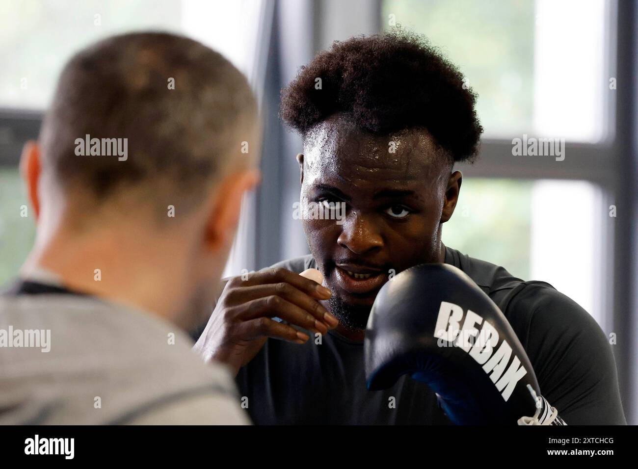 Boxer und trainer hi-res stock photography and images - Alamy