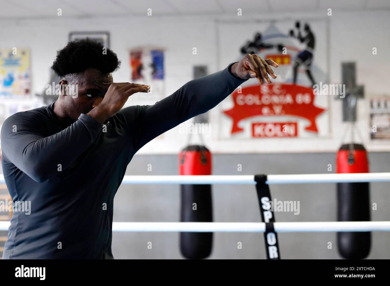 Boxer und trainer hi-res stock photography and images - Alamy