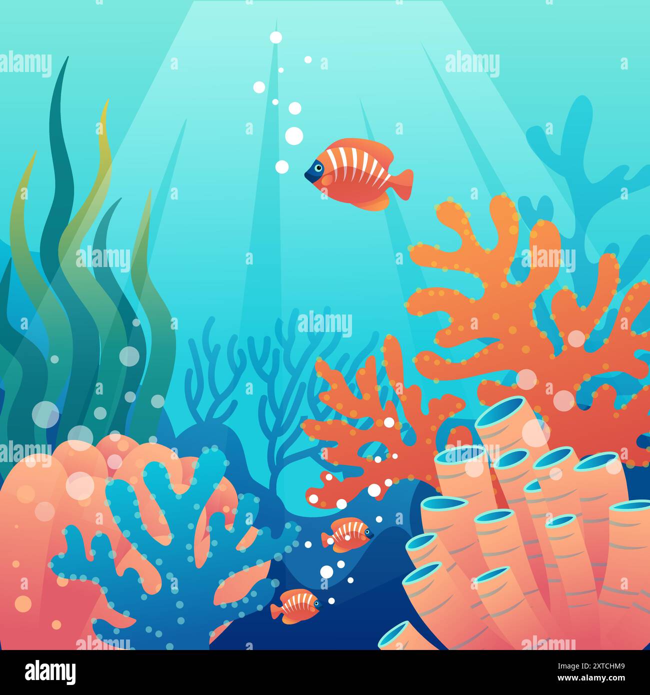 Fish sea animals plants seaweed hi-res stock photography and images - Alamy