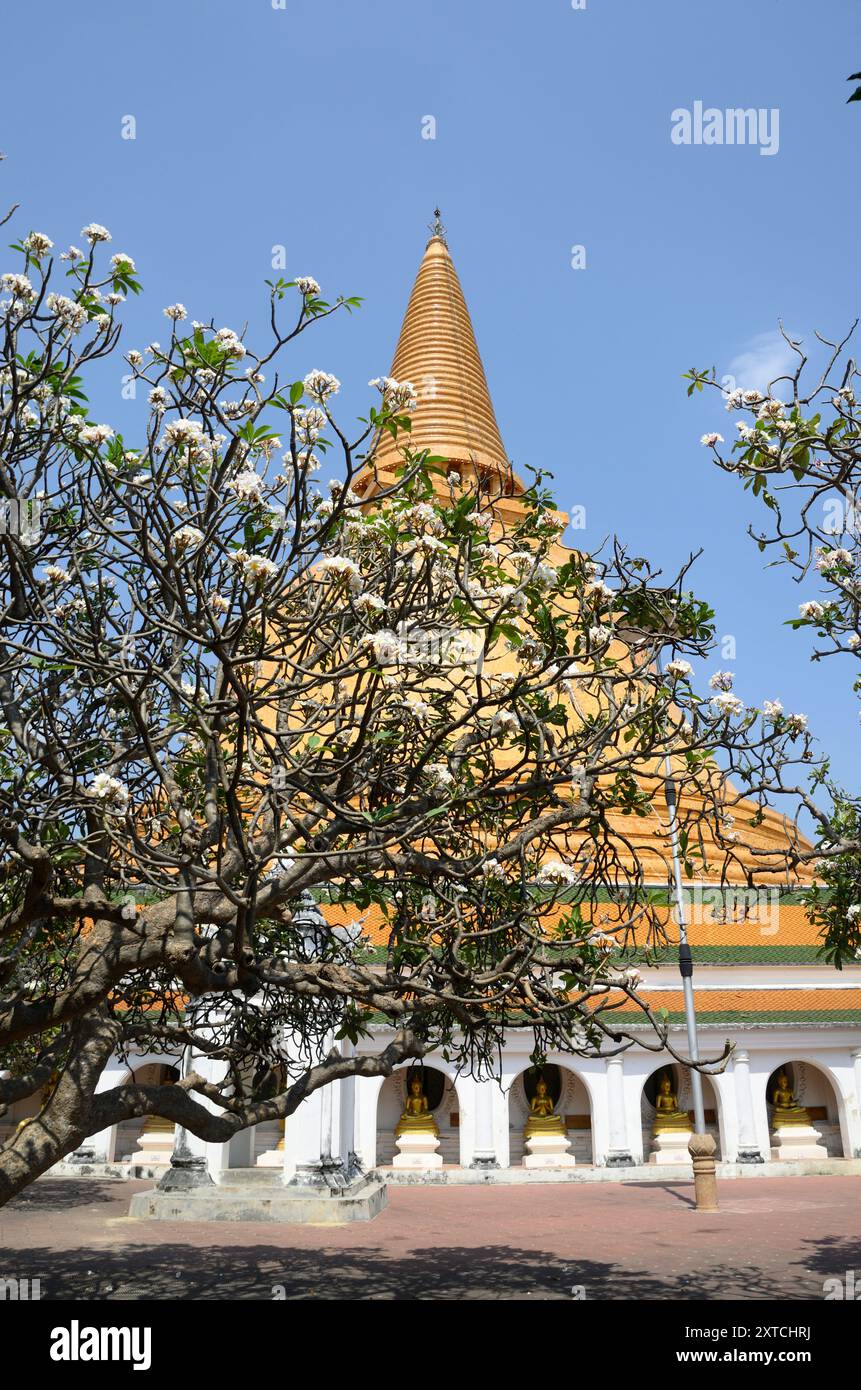 Phra Pathom Chedi , Nakhon Pathom, Mueang Nakhon Pathom, Thailand, Asia ...