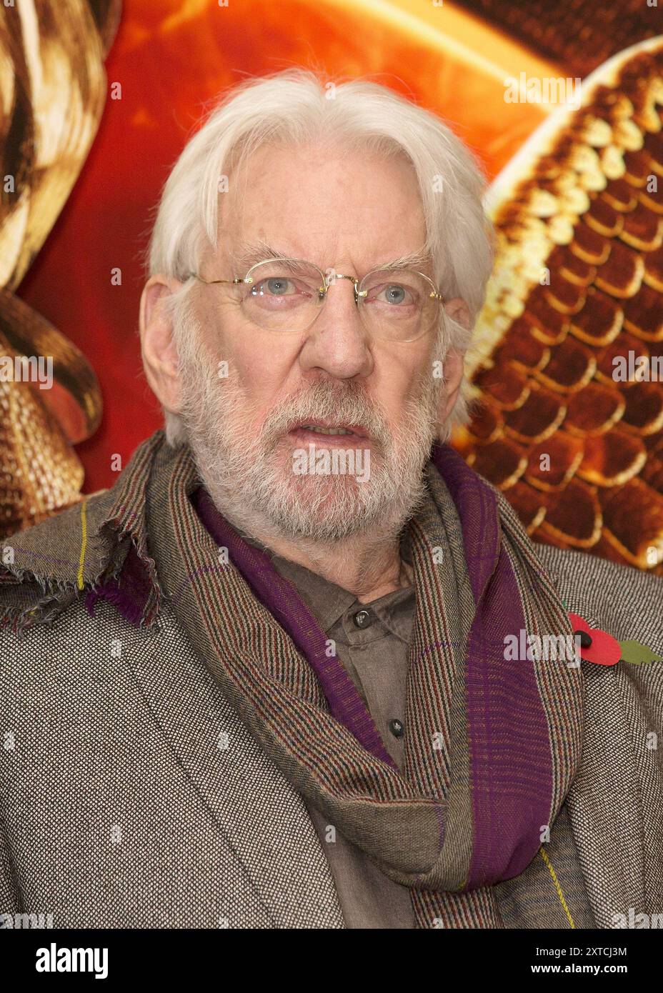 The hunger games hi-res stock photography and images - Alamy