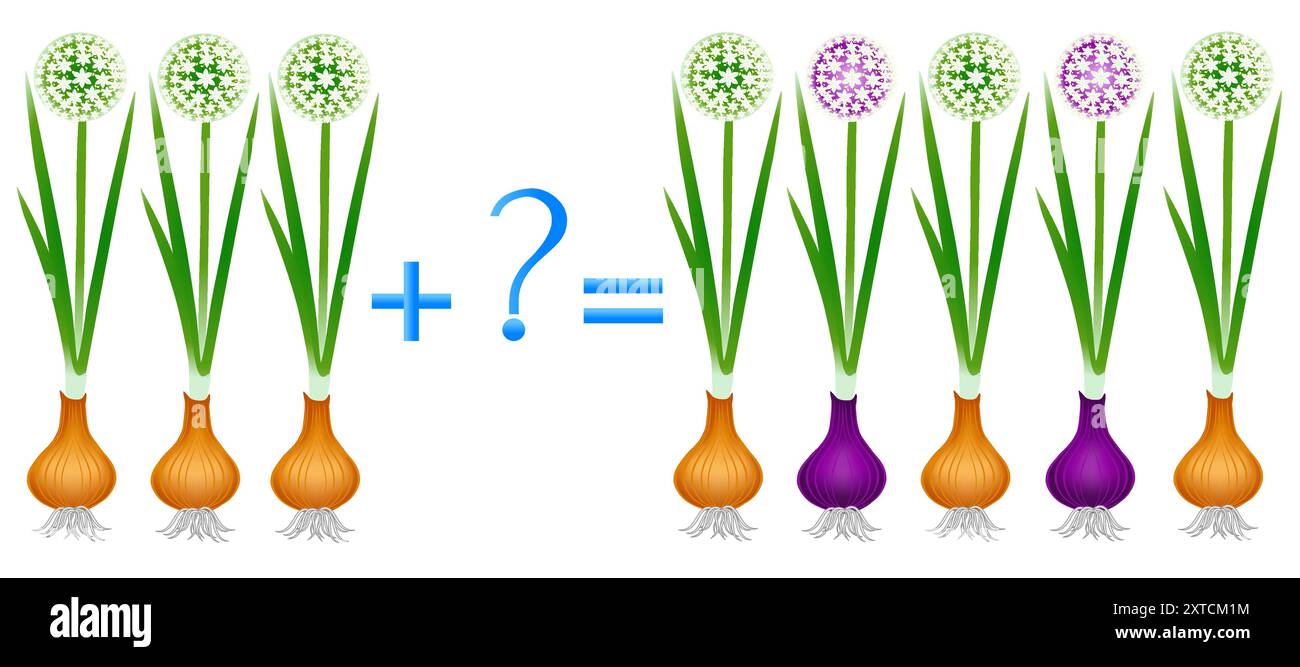 Action relationship of addition, examples with plant onion. Educational ...