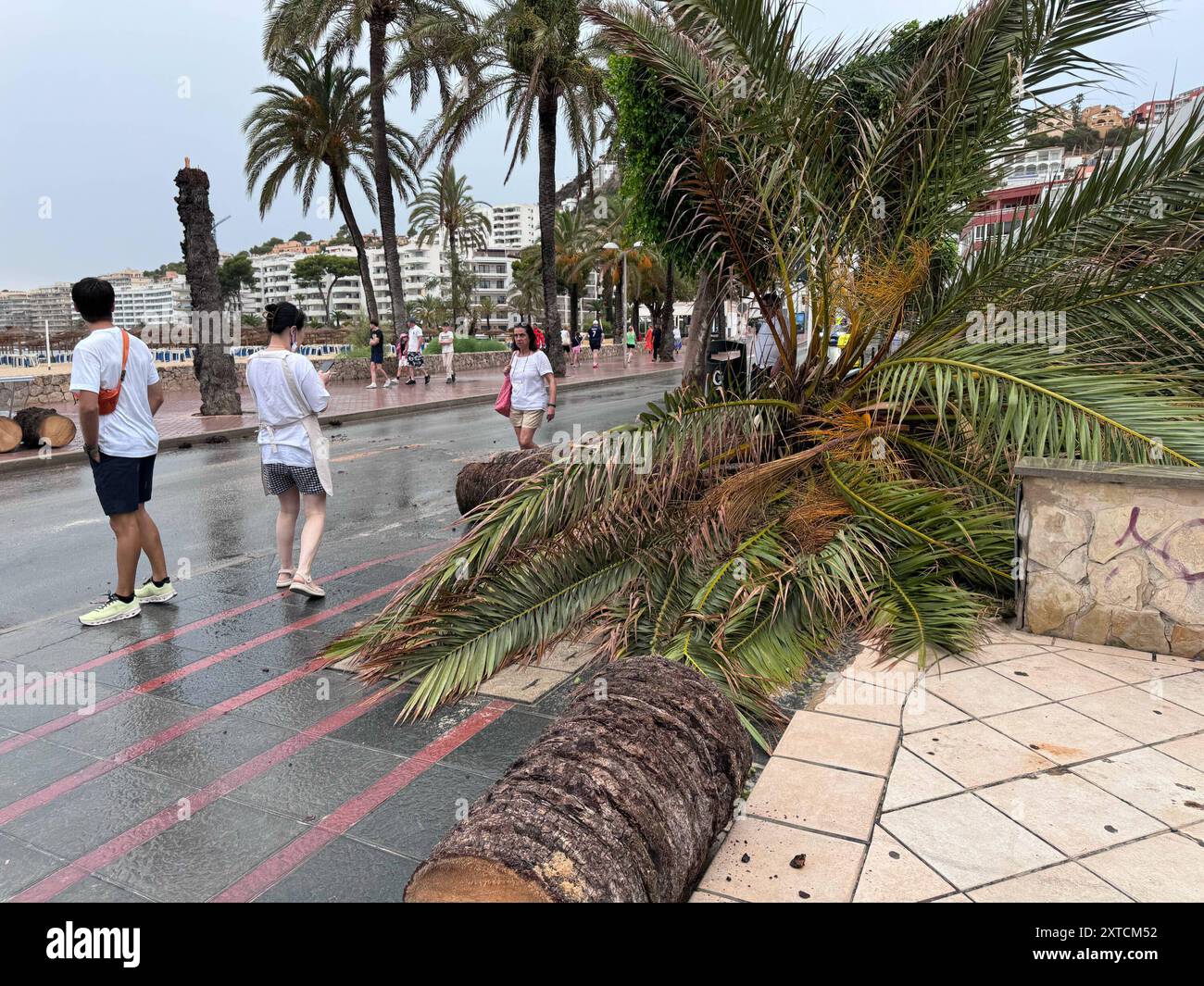 20240814 Unwetter Mallorca SANTA PONSA, SPAIN - AUGUST 14 2024 ...