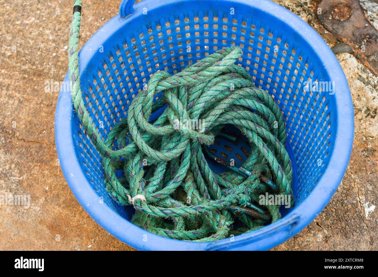 Lobster bucket hi-res stock photography and images - Alamy