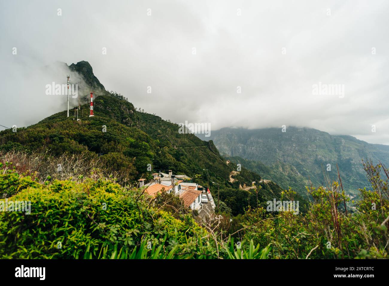 Magical misty green forest with waterfalls in Levada do Norte, Madeira ...