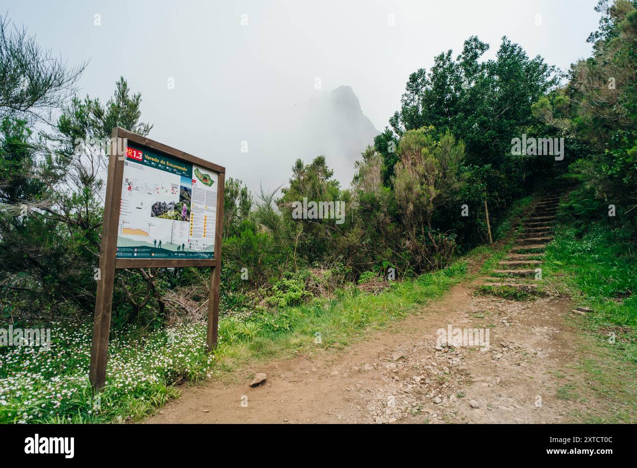 Magical misty green forest with waterfalls in Levada do Norte, Madeira ...