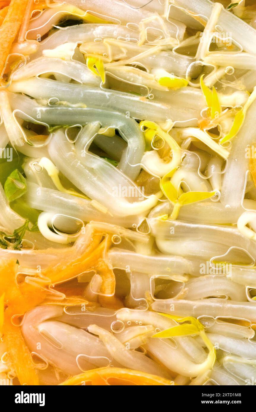 Lacto fermentation hi-res stock photography and images - Alamy