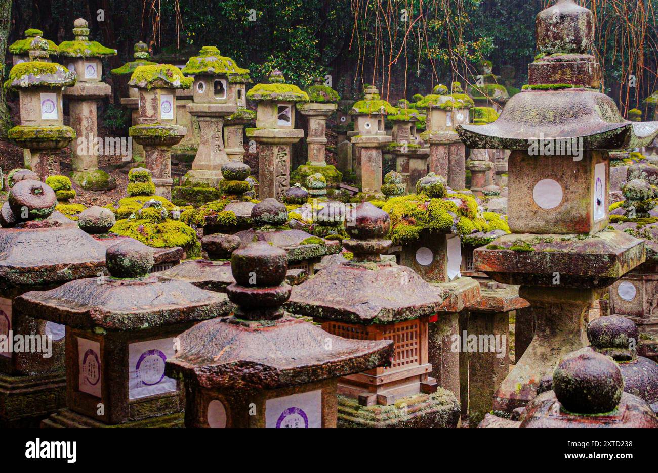 Wet path ancient grave hi-res stock photography and images - Alamy