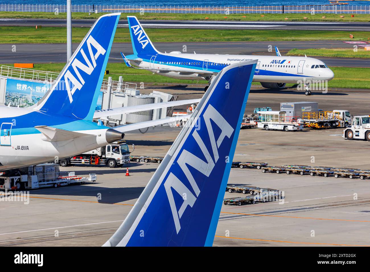 Leitwerke der ANA All Nippon Airways Flugzeuge Flughafen Tokyo Haneda ...