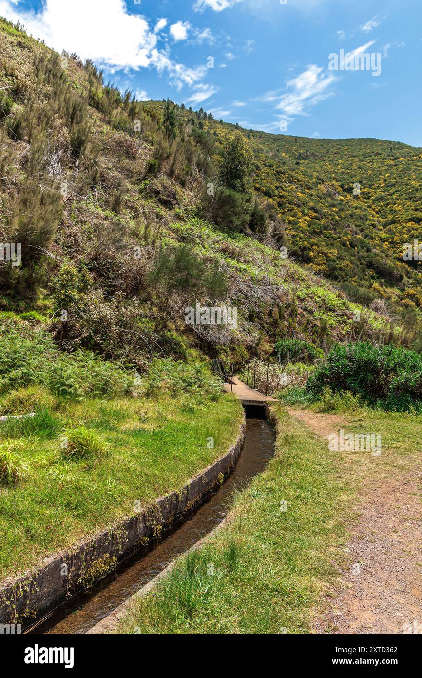 Vegetation and water distribution in the area of Levada 25 Fontes on ...