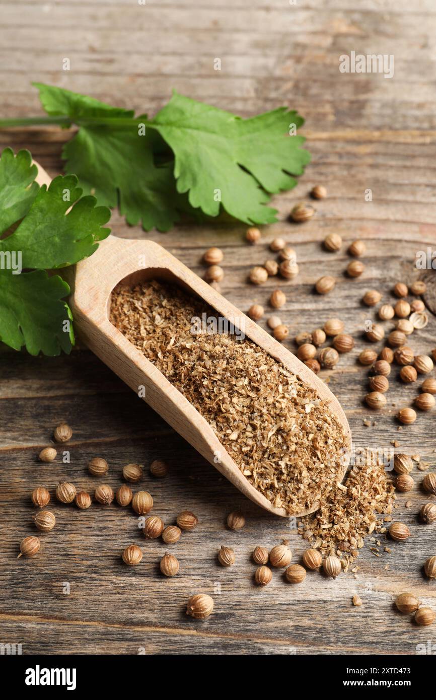 Coriander seeds leaves powder hi-res stock photography and images - Alamy