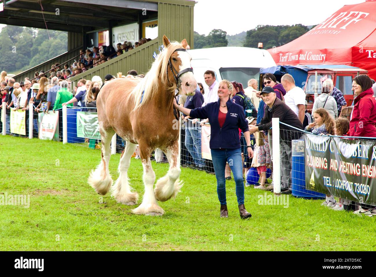 Working horses were amongst the crowd favourites at the 2024 Dumfries ...