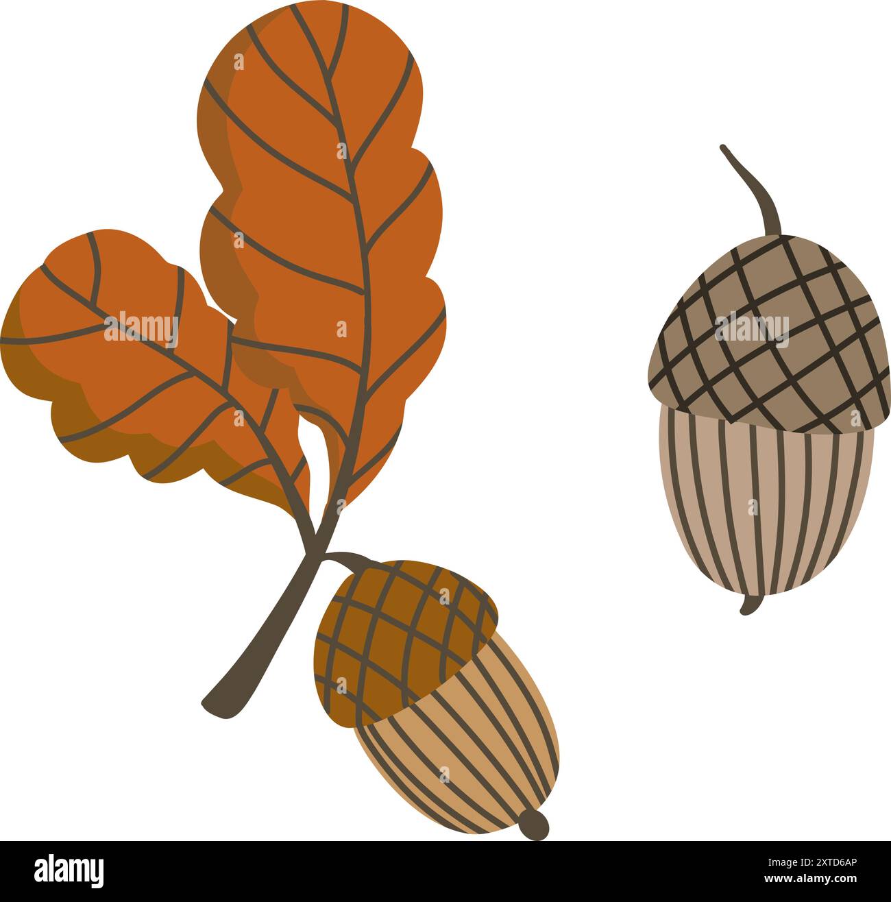Vector illustration of an acorn and oak leaf in flat style. Elements ...
