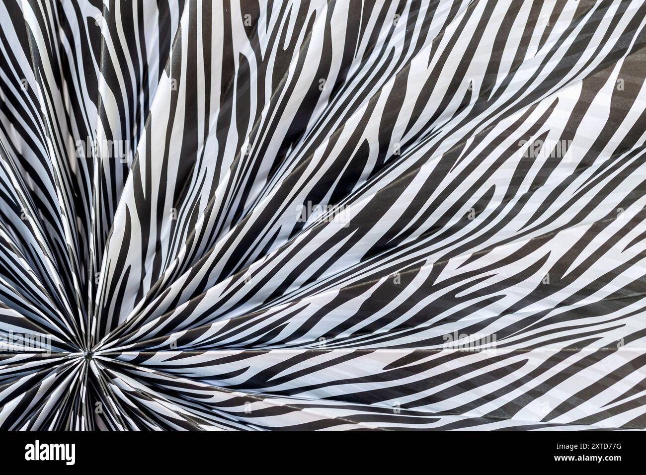 Black and white striped pattern with radiating design, dynamic visual ...