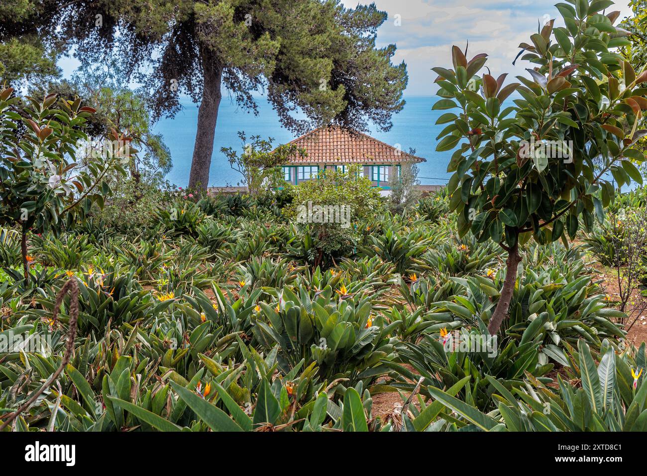 Quinta Splendida Botanical Garden on the island of Madeira, Portugal ...