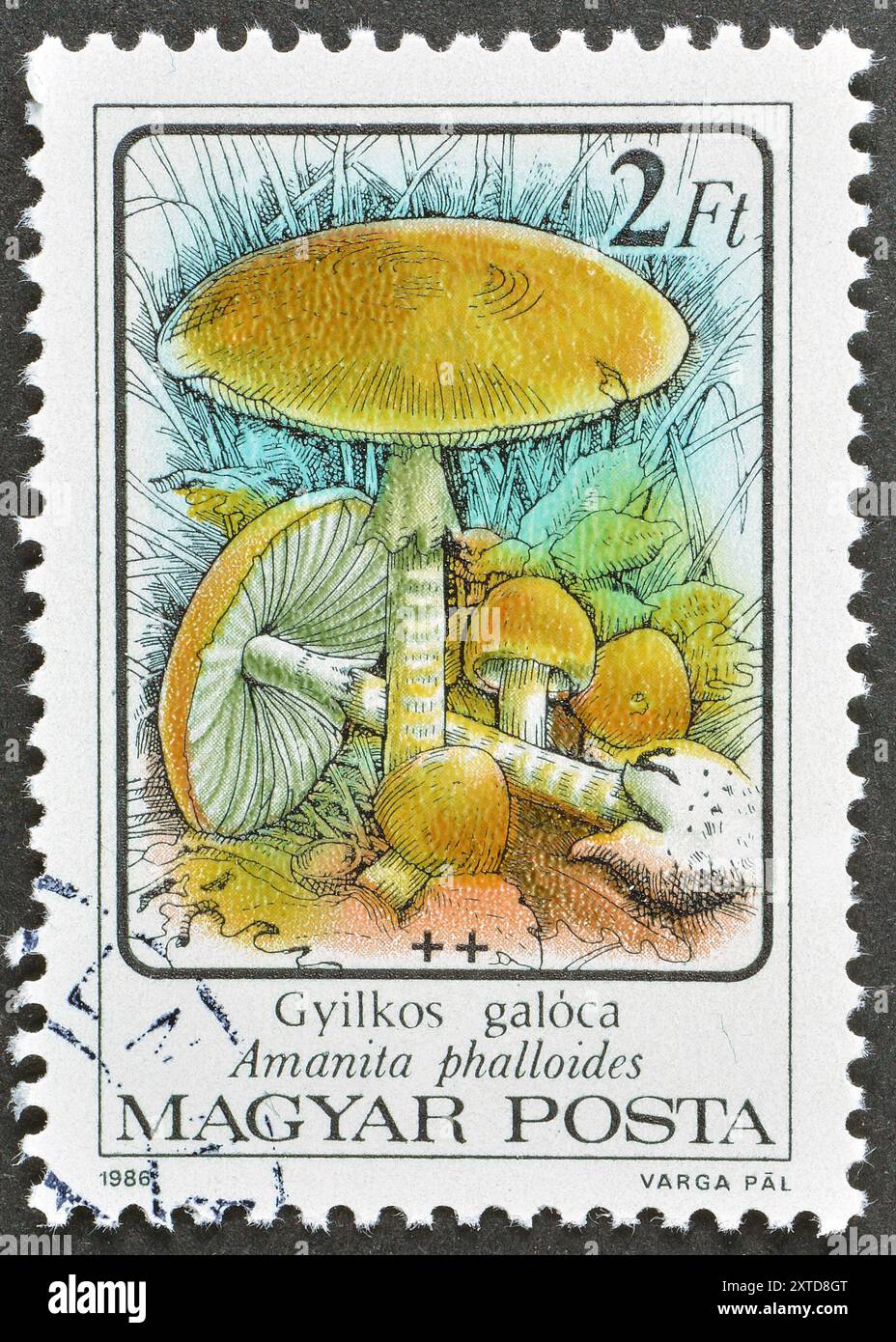 Cancelled postage stamp printed by Hungary, that shows Death Cap ...