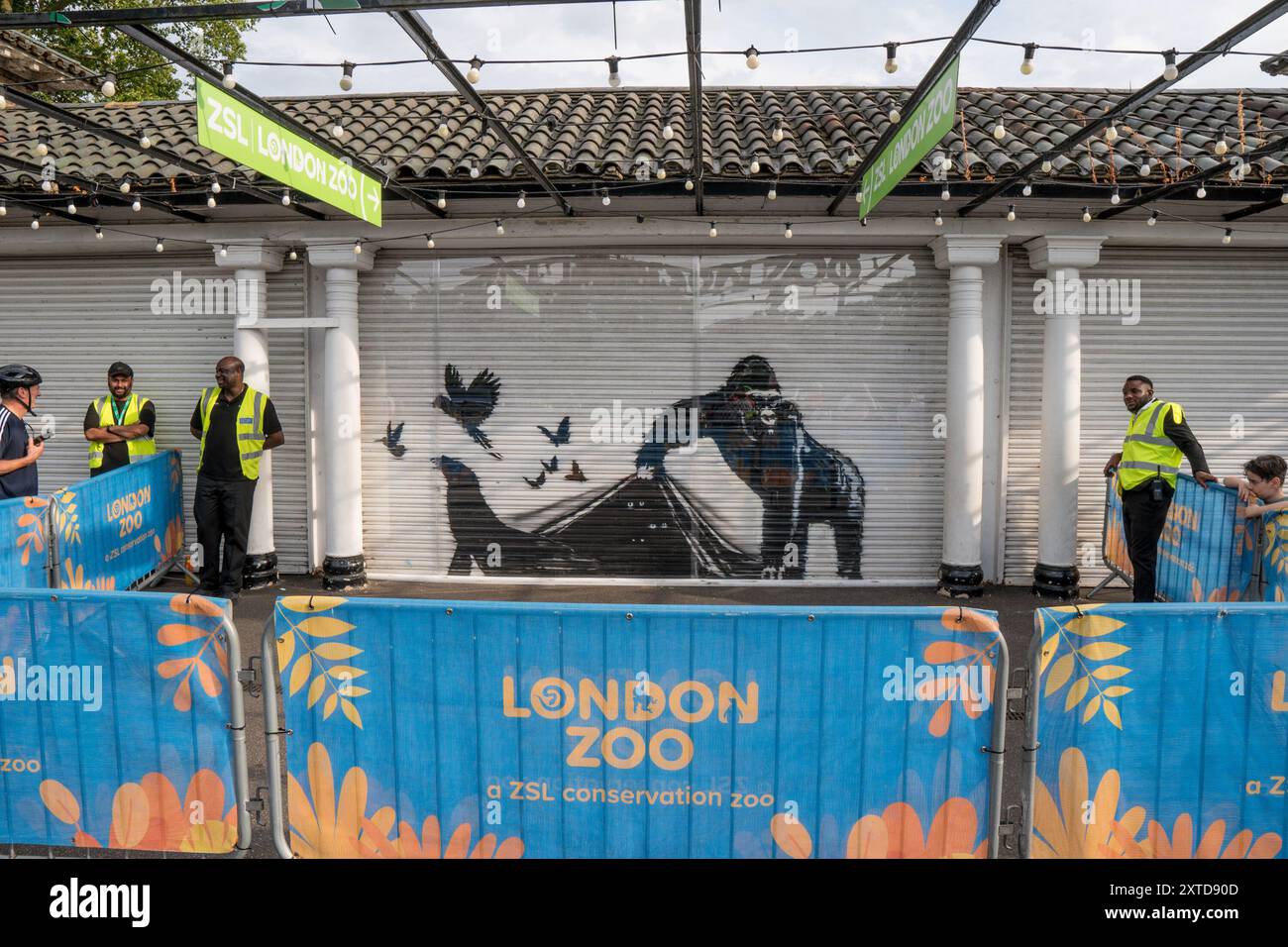 Banksy artwork at London Zoo UK, 13th August 2024, Gorilla releasing other zoo animals, spray ...