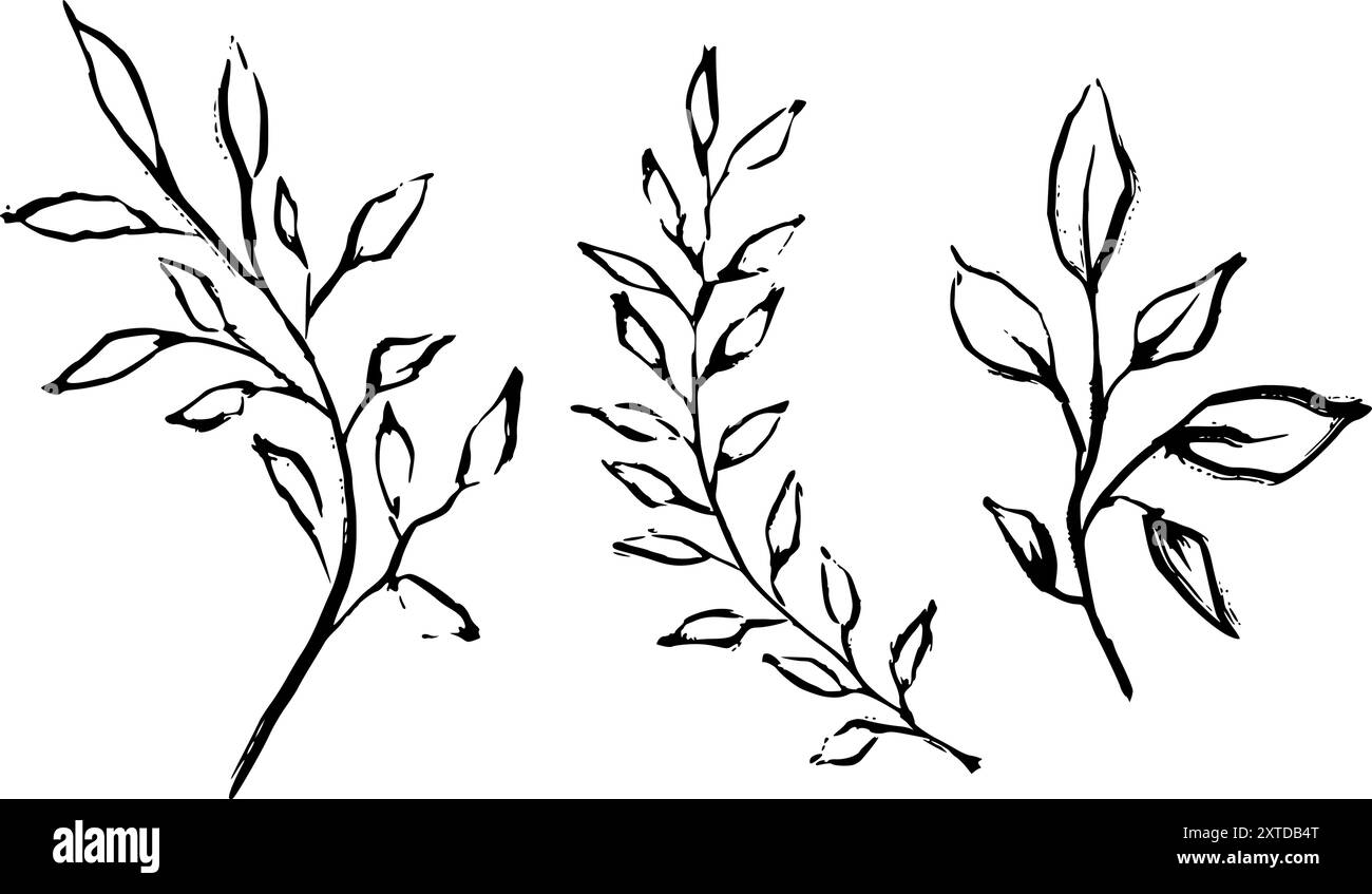 Vector branches with leaves in Chinese ink calligraphy style. Vector ...