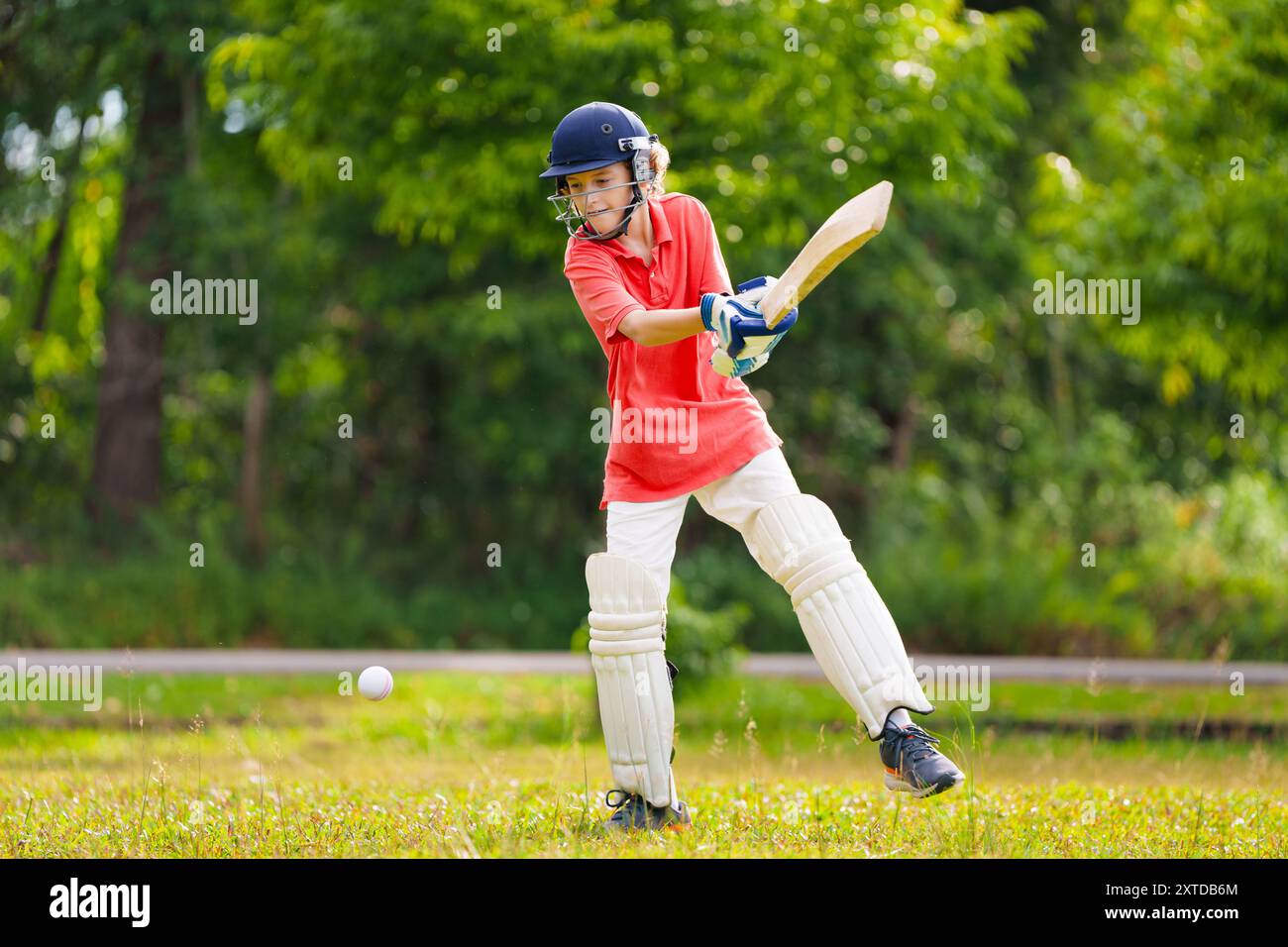 Kids playing cricket in summer park. Boy with bat and ball on cricket ...