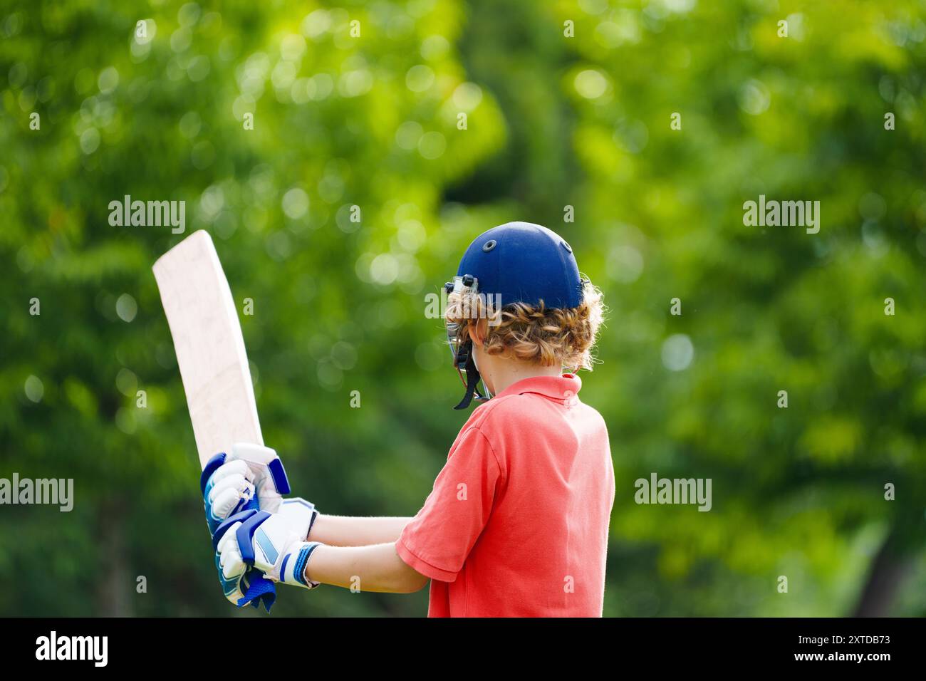 Kids playing cricket in summer park. Boy with bat and ball on cricket ...
