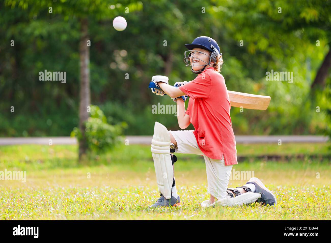 Kids playing cricket in summer park. Boy with bat and ball on cricket ...
